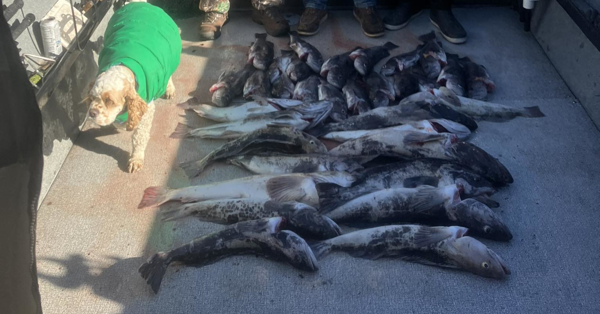 The Best Time for Salmon Fishing in Newport - Newport Oregon Fishing ...